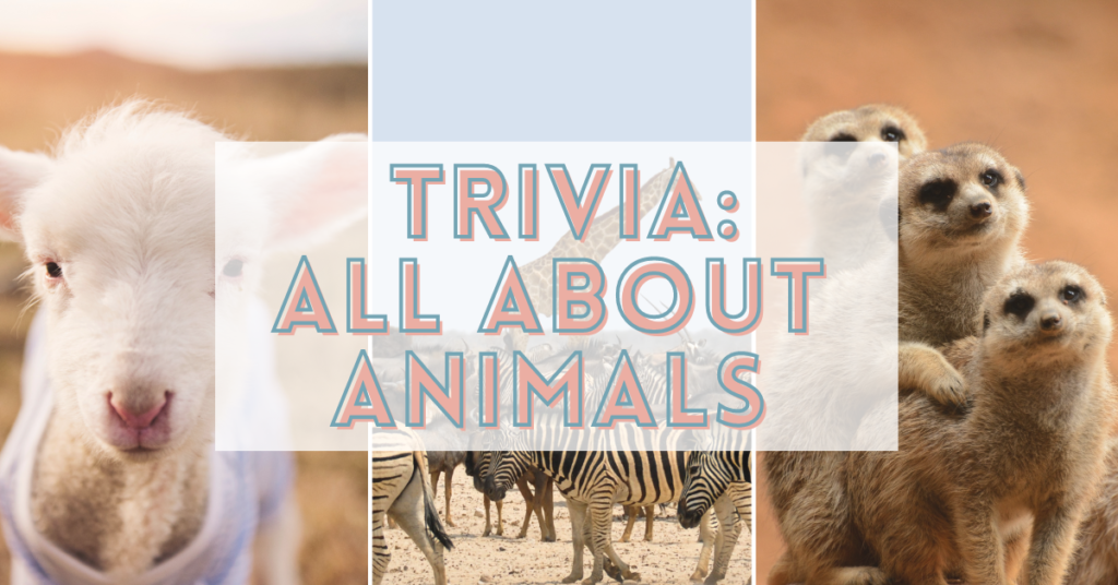 100 Kid-Friendly Animal Trivia Questions For Young Animal Lovers - Land ...