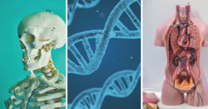 80 Medical Trivia Questions To Test Your Medical Knowledge - Land of Trivia