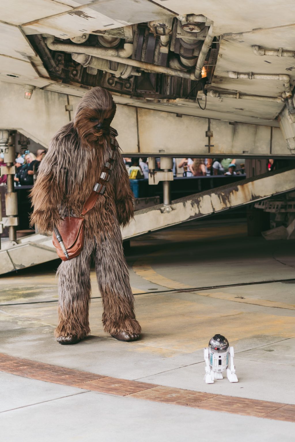 60 Star Wars Trivia Questions For Kids (+ Free Printable) - Land of Trivia