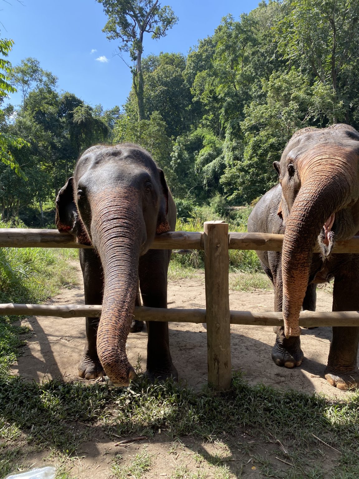 170 Summer Trivia Questions To Help You Welcome The Sunny Season - Land ...