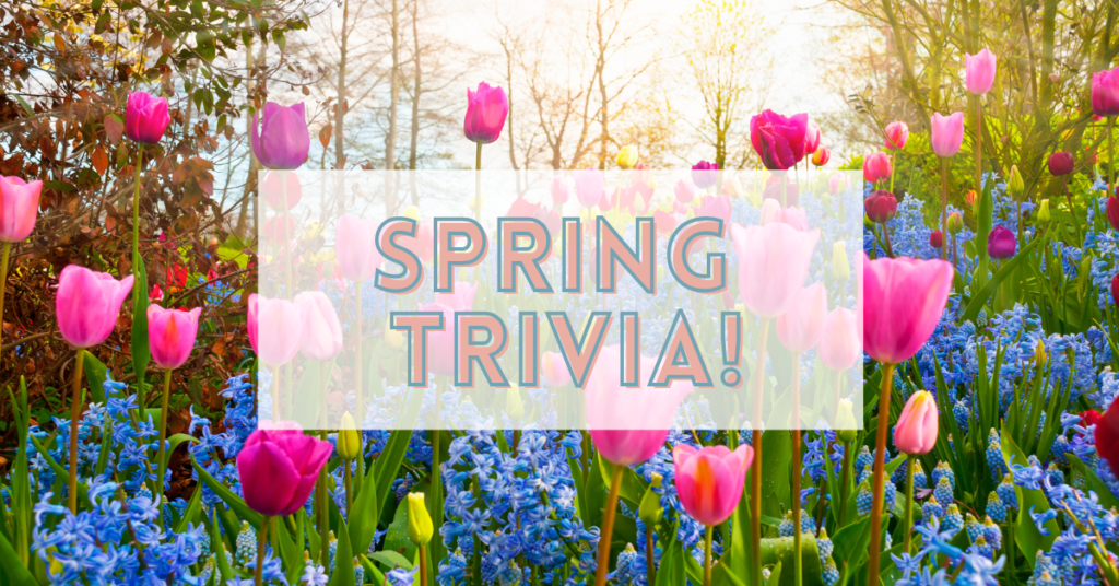 Spring Forward: 67 Spring Trivia Questions For Kids - Land of Trivia